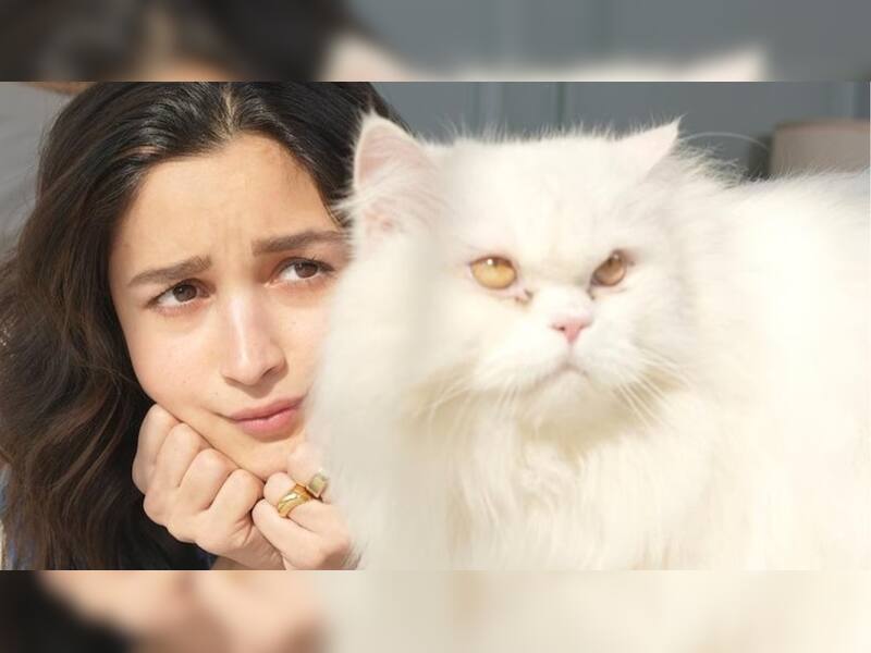 National Pet Day 2025: Celebrity-Pet Moments That Won The Internet And ...