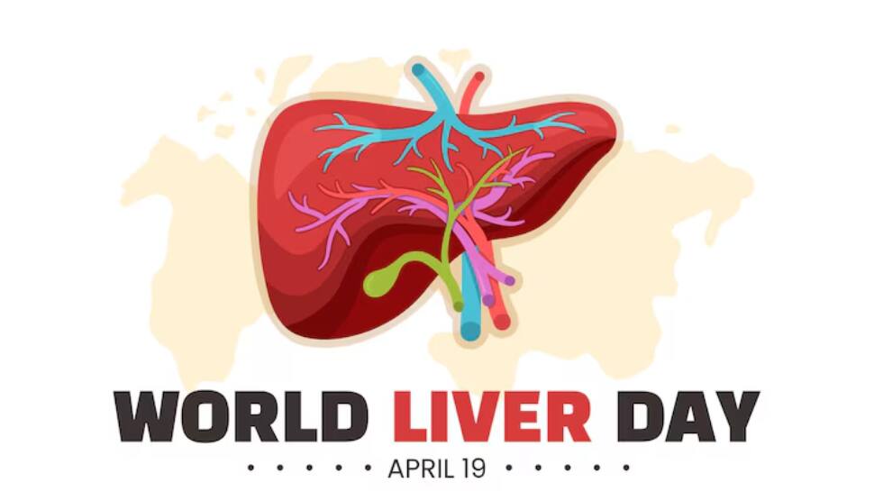 World Liver Day 2025: Date, Theme, History, Significance, And All You ...