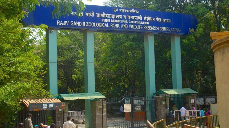 Discover 10 Incredible Zoos In India For Wildlife Lovers And Nature ...