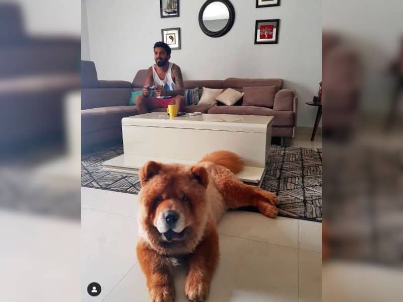 Inside KL Rahul & Athiya Shetty's Luxury Homes In Mumbai & Bangalore ...