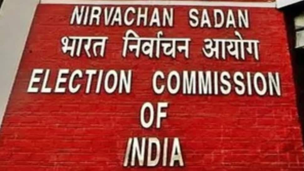 One Platform For All Electoral Services Soon, Election Commission To ...