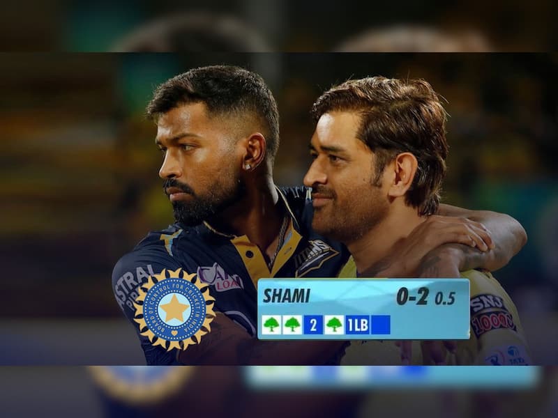 Not MS Dhoni's CSK But THIS IPL 2025 Team Has Helped In Planting Most ...