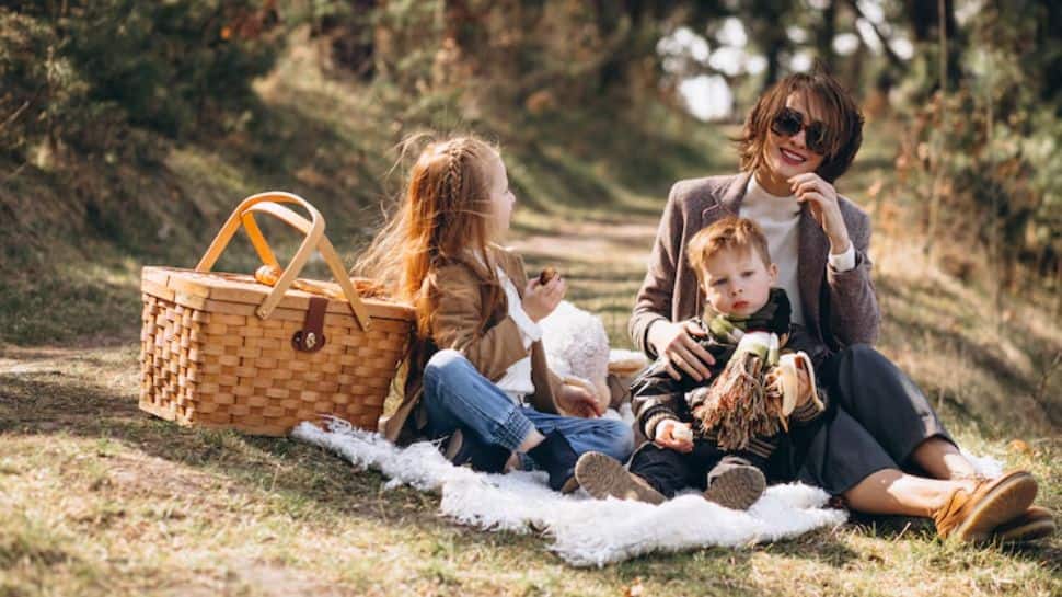 Mother’s Day 2025 Picnic Planning: How To Create Heartfelt Outdoor ...