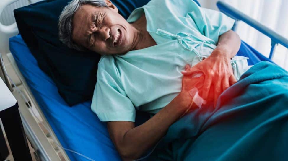 Liver Fibrosis And Scarring – Can The Damage Be Reversed | Health News ...