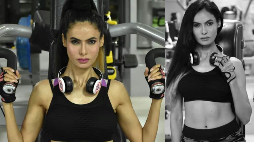 Meet Shyna Sunsara: Colonel Sofiya Quraishis Multi-Talented Twin Sister ...