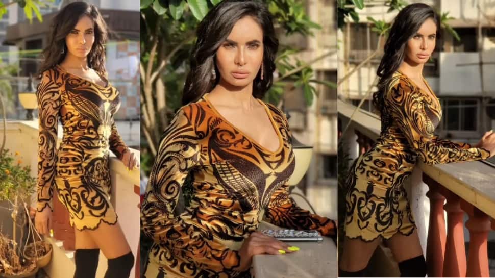 Meet Shyna Sunsara: Colonel Sofiya Quraishis Multi-Talented Twin Sister ...