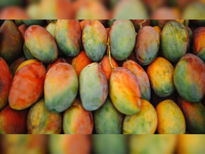 How To Identify Real And Fake Mango At Home: Simple Tricks For A Safe ...
