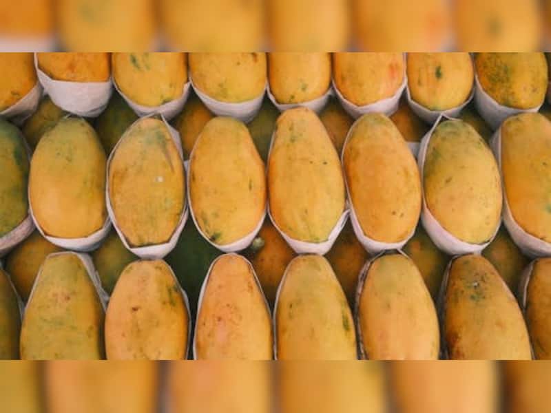How To Identify Real And Fake Mango At Home: Simple Tricks For A Safe ...