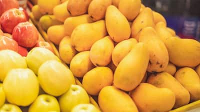 How To Identify Real And Fake Mango At Home: Simple Tricks For A Safe ...