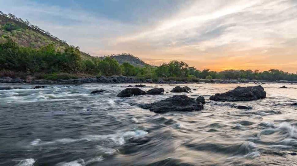 Discover The Beauty Of The Western Ghats: 10 Hidden Gems For Nature Lovers