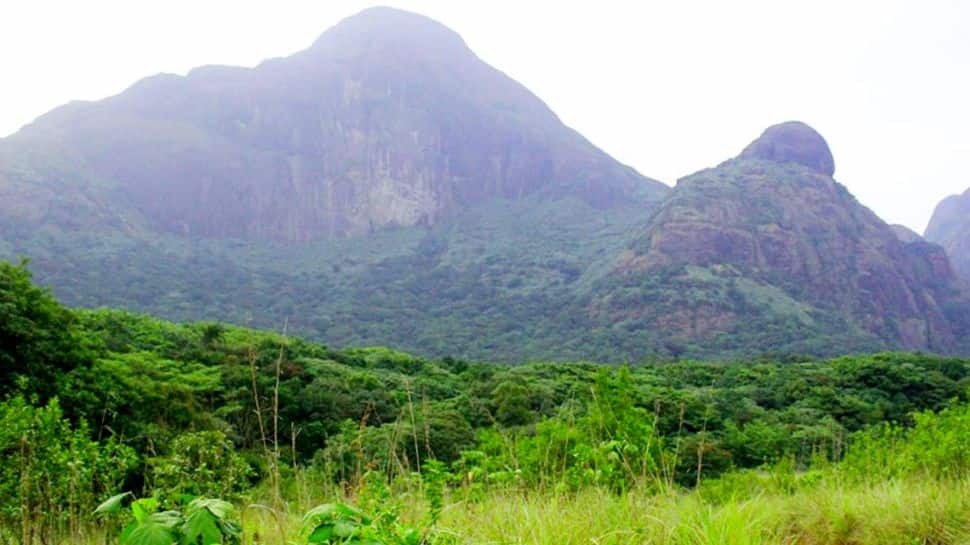 Discover The Beauty Of The Western Ghats: 10 Hidden Gems For Nature Lovers