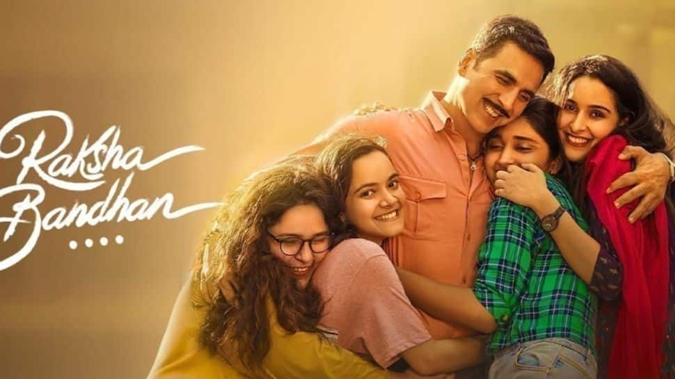 From Raksha Bandhan To Jigra: 8 Bollywood Films That Pay Tribute To The ...