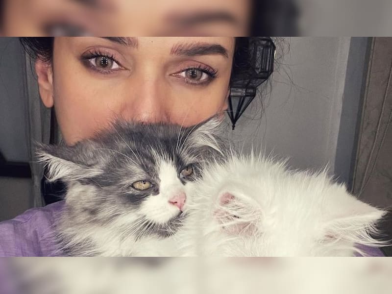 Meet The 46-Year-Old Actress-Singer Whose Great-Grandfather Was Prime ...
