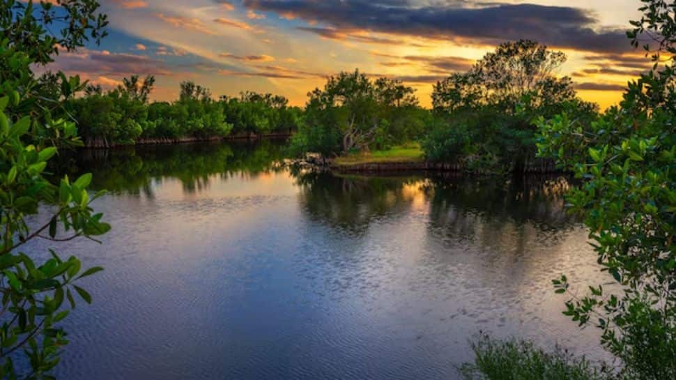 From South Africa To USA: Discover 10 Incredible Bird-Watching ...