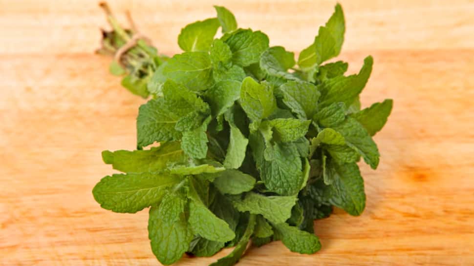 8 Creative And Delicious Ways To Use Mint Leaves In Your Summer Diet ...