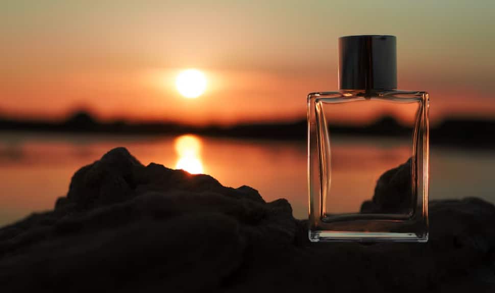 Top 4 Women's Perfumes Under ₹400: Fragrances that Smell & Feel ...