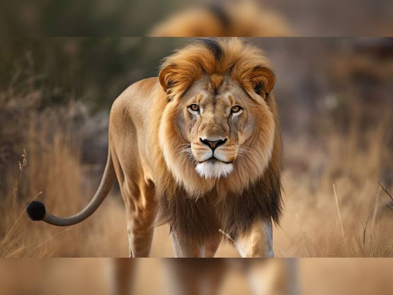 Meet World's Most Dangerous Animal, It's NOT A Tiger Or A Lion; Kills ...