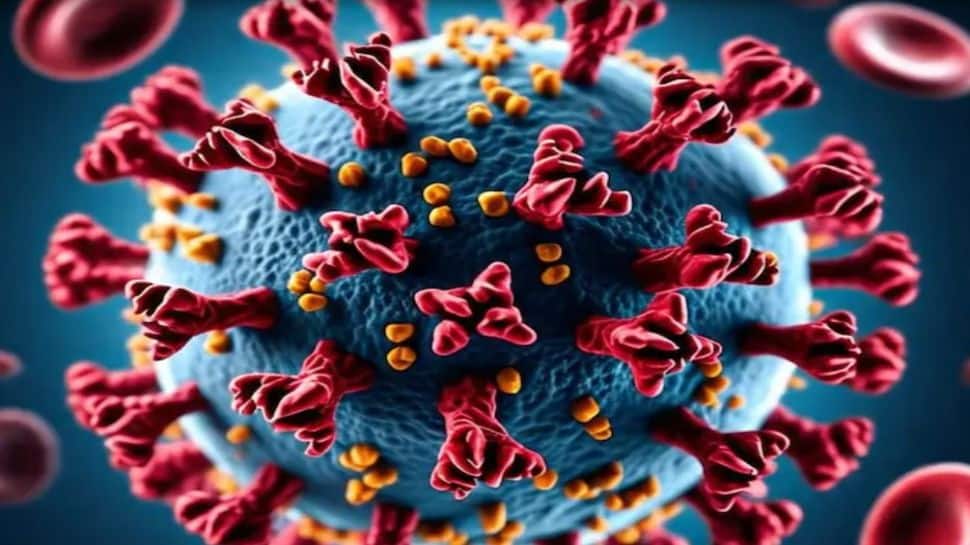 COVID To Mutate Into A Monster? Japan’s Baba Vanga Warns Of Comeback Of ...