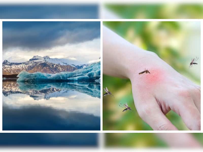 Meet The Only Country In The World With No Mosquitoes Or Snakes, It’s ...
