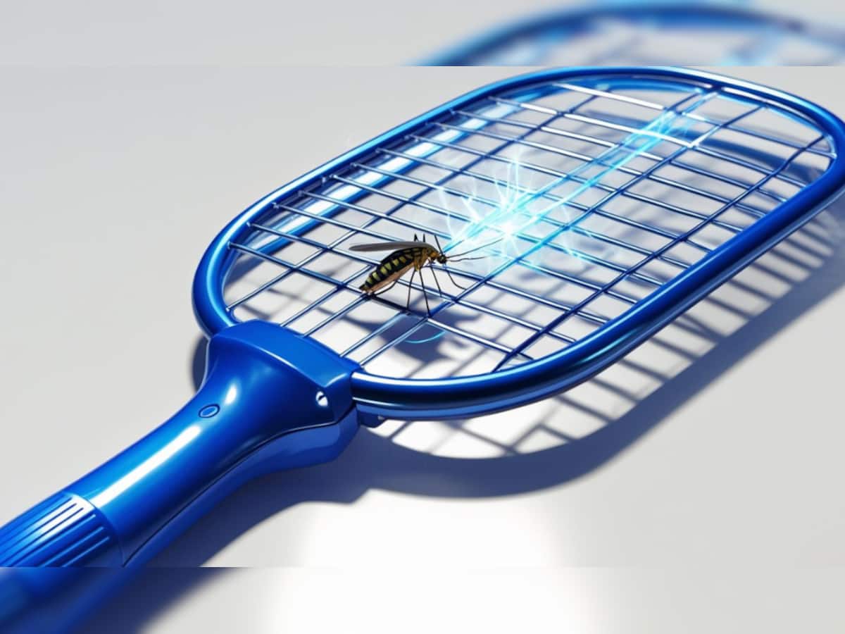 Best Mosquito Kill Rackets for Quick and Safe Protection