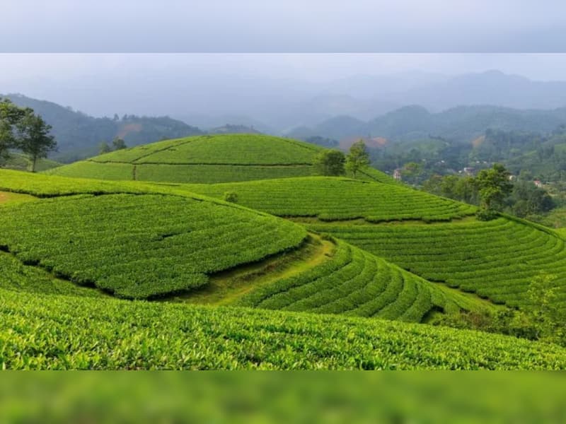 Plan Your Perfect Hill Holiday: Top 8 Must-Visit Hill Stations In ...