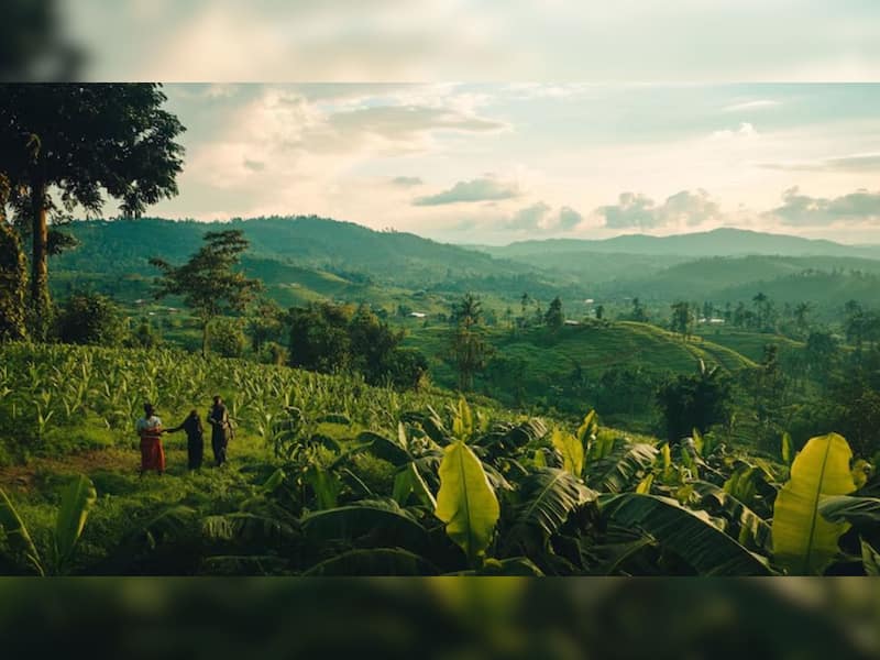 Plan Your Perfect Hill Holiday: Top 8 Must-Visit Hill Stations In ...