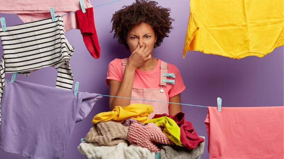 Monsoon Ruining Your Clothes Again? Try These 7 Hacks To Keep Mold And ...