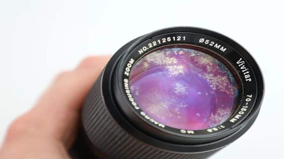 How Lens Fungus Destroys Camera From Within – And What You Can Do About ...