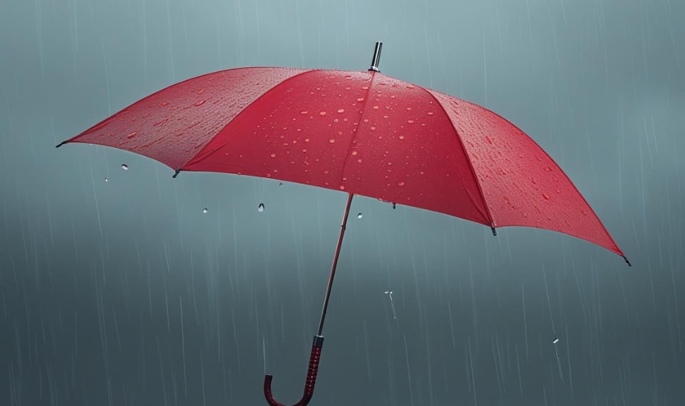 Best Umbrellas to Grab During Amazon Prime Day Sale 12th to 14th July ...