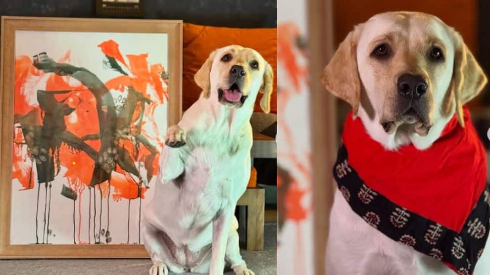 Meet Painting Pup: This Labrador Not Only Barks But Also Paints To ...