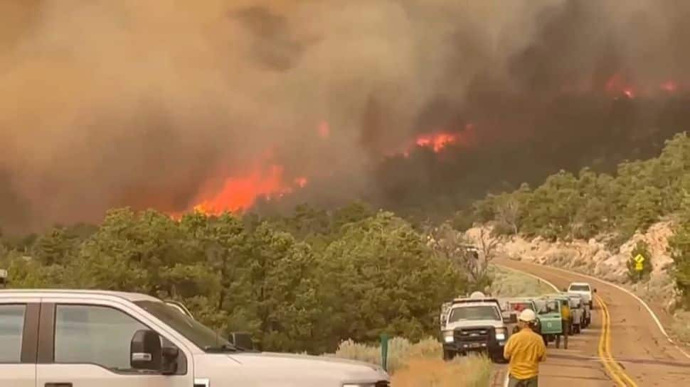 US: Wildfire Ravages Grand Canyon’s Historic North Rim Lodge – What We ...