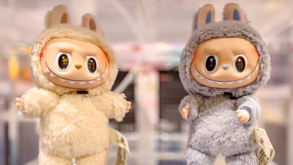 Are Labubu Dolls Really Possessed? Here's Why People Are Burning The ...