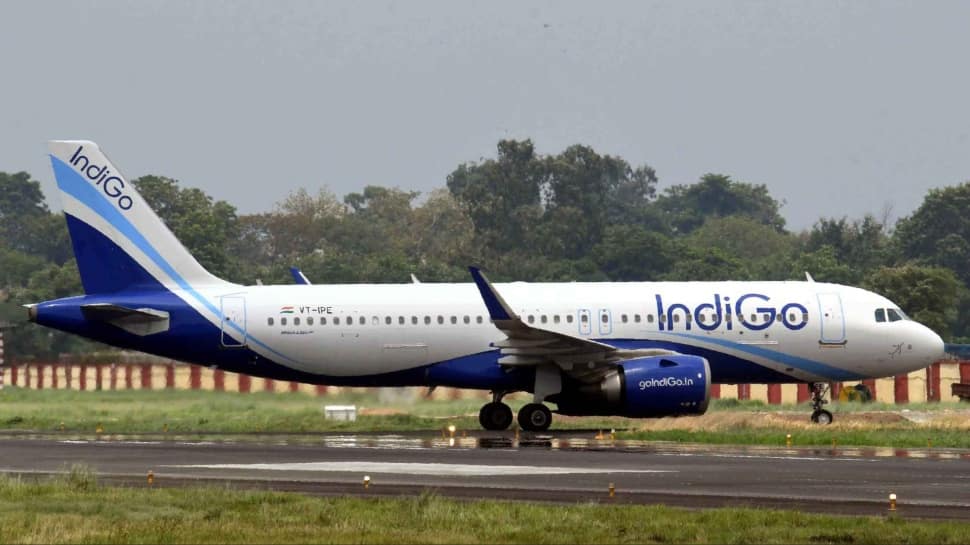 IndiGo Delhi-Goa Flight Declares 'PAN PAN PAN' for Emergency Landing in ...