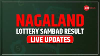Nagaland Dear Seagull 8 PM Lottery Result 18-07-2025 (OUT) LIVE: Friday ...