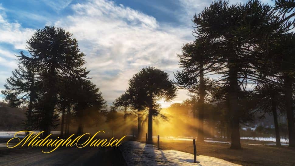 5 Mesmerising Locations Where You Can Experience The Rare Beauty Of The ...