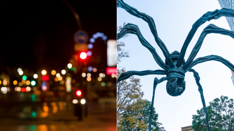 From 75 Traffic Lights To Giant Spider: 6 Most Uniquely Bizarre ...
