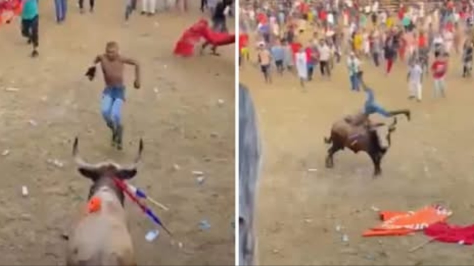 Caught On Camera: Bullfighter Dies After Goring, Reignites Bullfighting ...