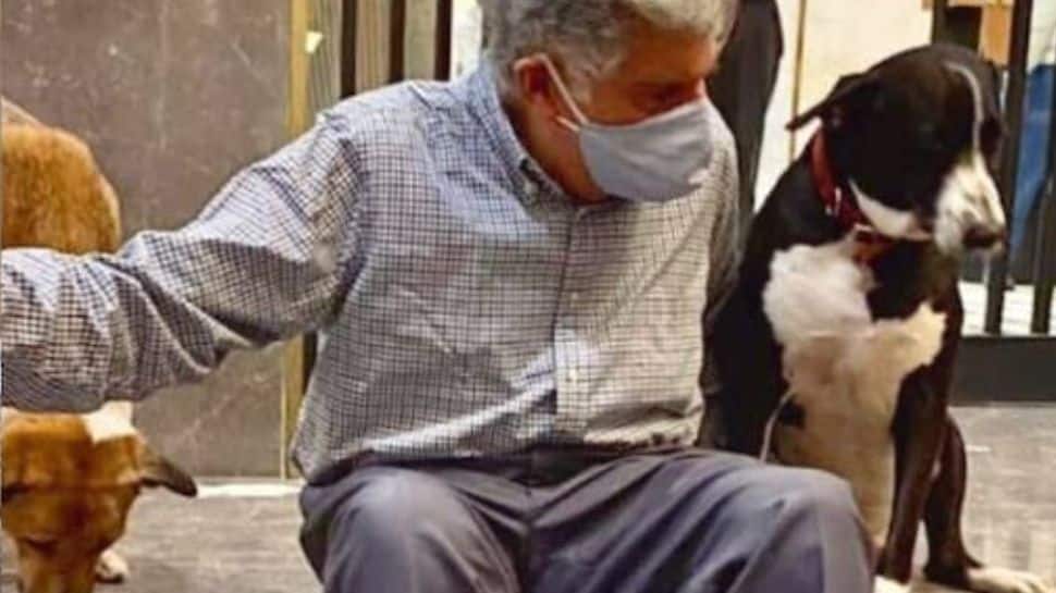 Ratan Tata’s Unbreakable Bond With Dogs: 5 Stories That Will Melt Your ...