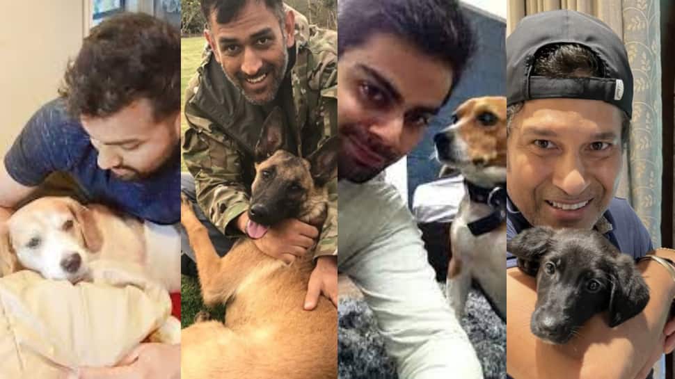 Meet 7 Dog Dads of Indian Cricket: MS Dhoni, Virat Kohli, Rohit Sharma ...