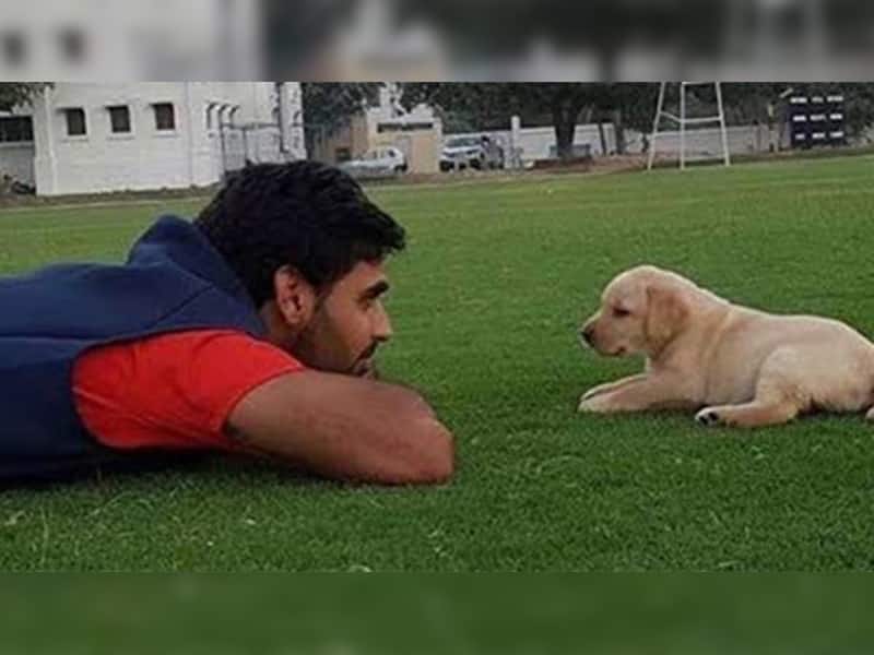 Meet 7 Dog Dads of Indian Cricket: MS Dhoni, Virat Kohli, Rohit Sharma ...