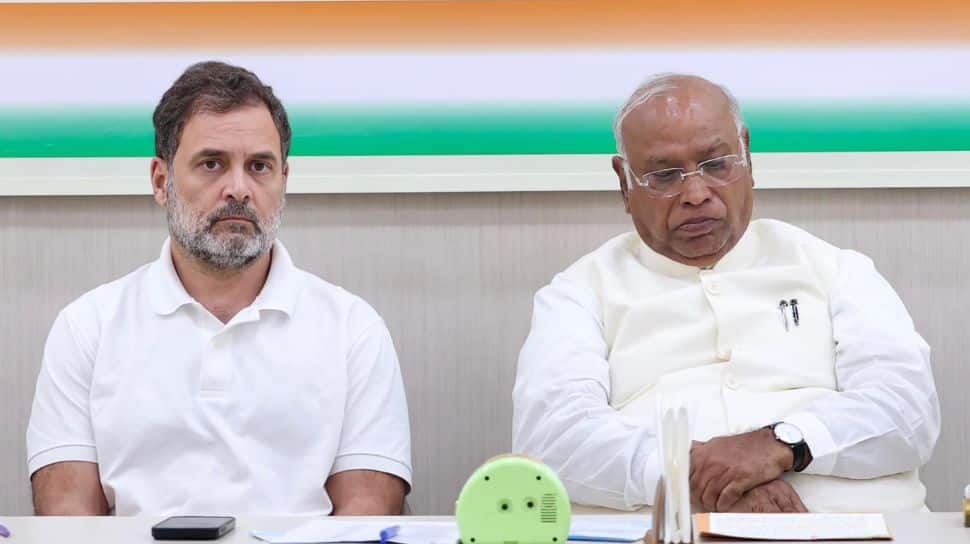 BJP Calls Rahul Gandhi ‘Lover Of Pakistan’ For Skipping Independence ...