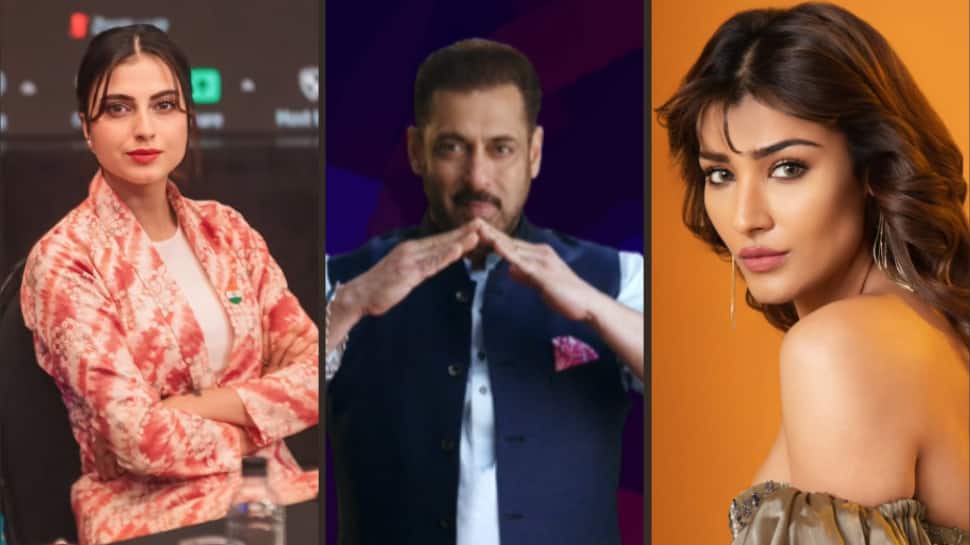 Who Are Nehal Chudasama & Farhana Bhatt? Meet Bigg Boss 19 Contestants ...