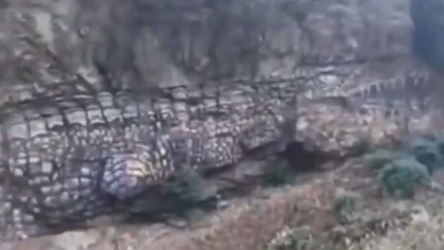 Giant Crocodile-Like Structure In China Goes Viral: Fossil Or Rock ...