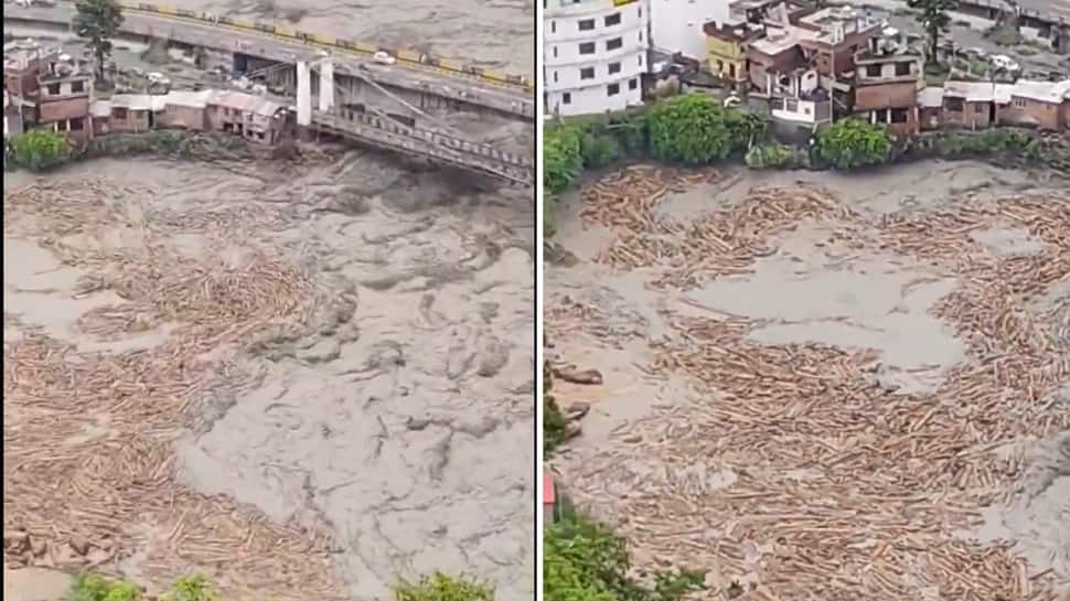 Himachal’s Yet Another ‘Pushpa’ Moment As Excessive Chopped Wooden Logs ...