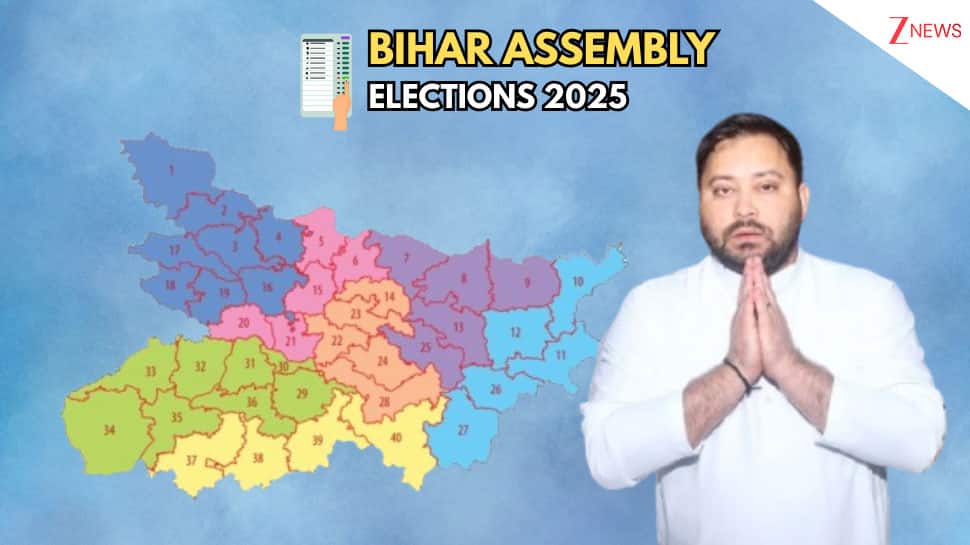 Can Tejashwi Yadav's Strategy Make Him A Face Of Resurgent Opposition ...