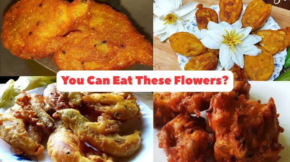 You Can Eat These Flowers? 6 Bengali Phool Pakoras That’ll Blow Your ...