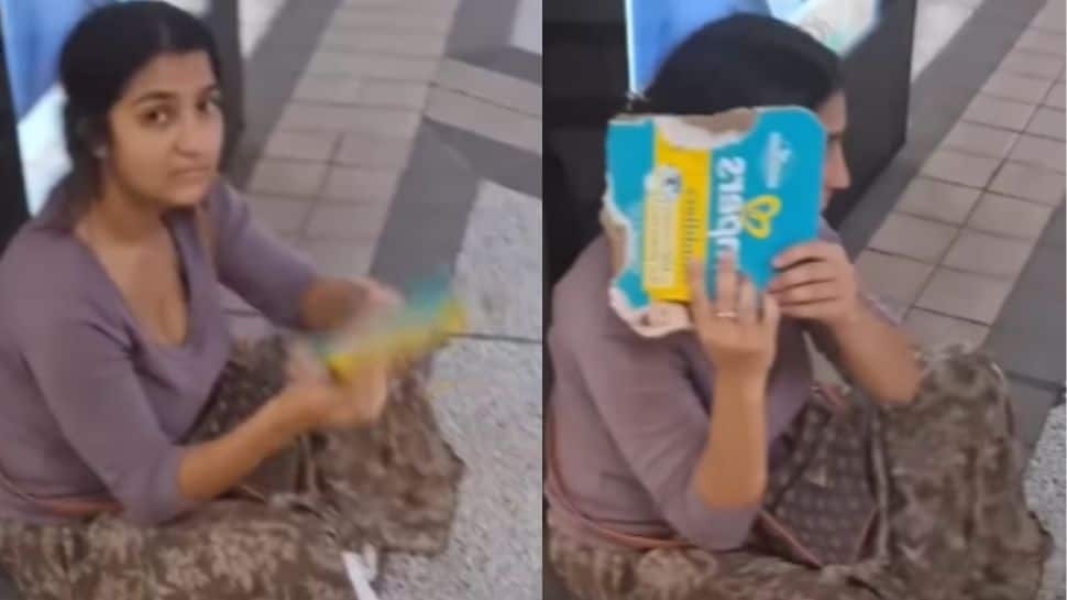 Woman Student Begging In Canada Sparks Debate On Immigrant Struggles ...