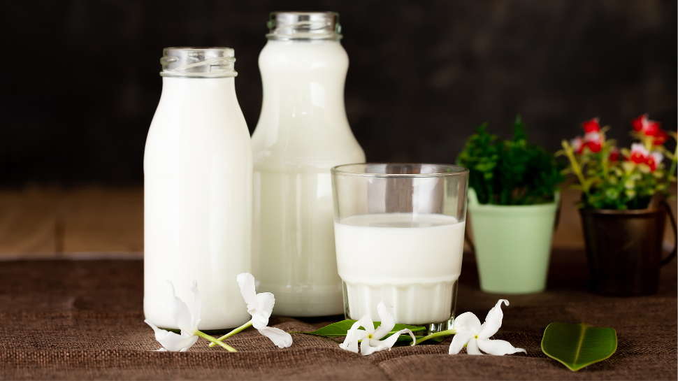 The World's Most Expensive Milk PRICE Rs...;Isn't From A Cow, Sheep Or ...