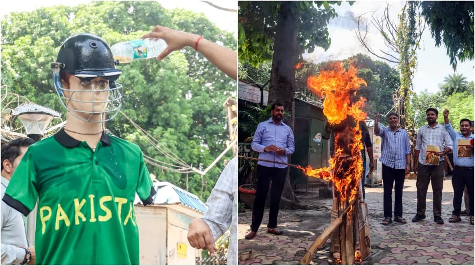 Blood Vs Cricket: What's Really On The Line In India-Pakistan Asia Cup ...