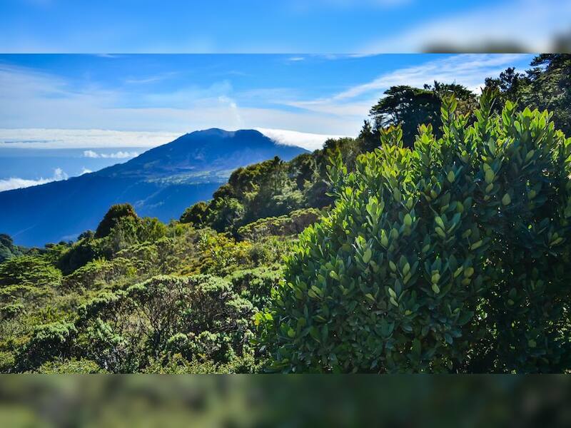 Countries Without Military: 5 Nations With People, Land, Government-But ...